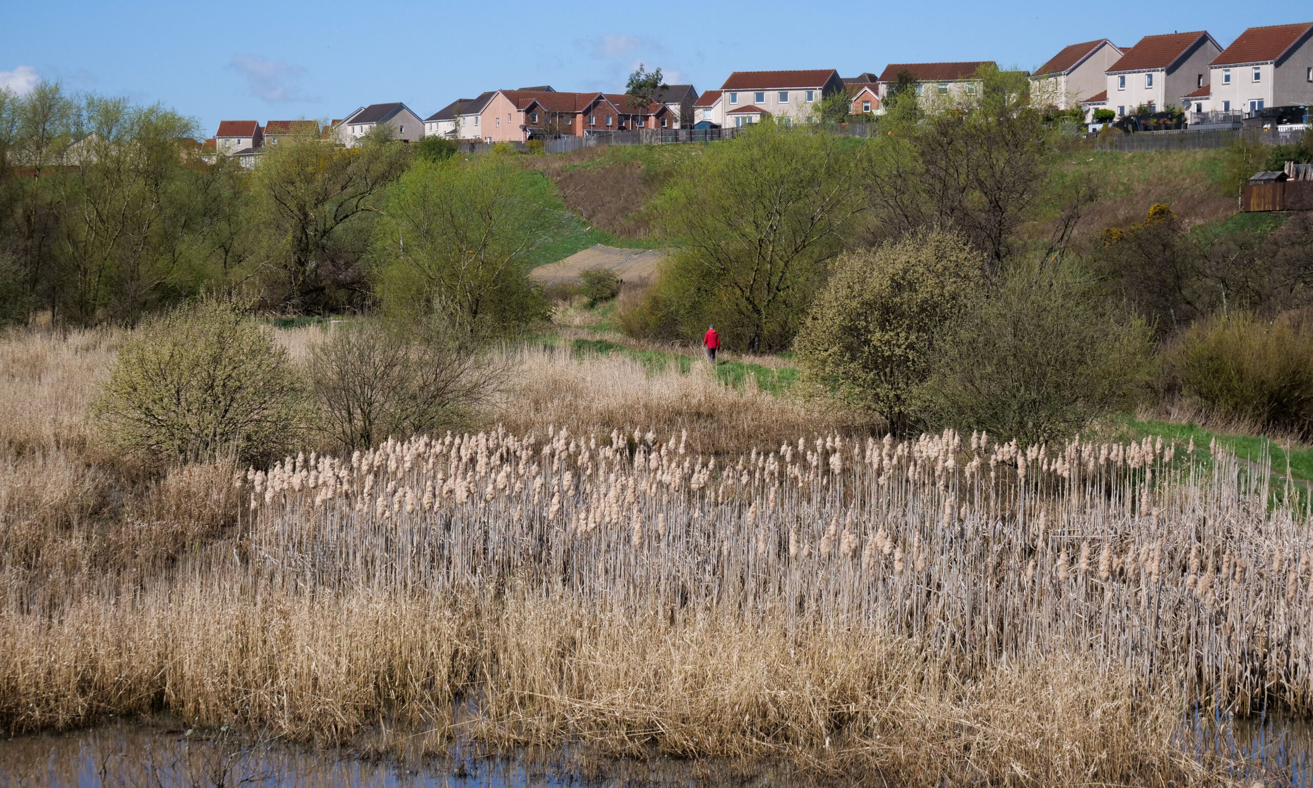 Nature has a key role to play in Scotland's journey to Net Zero ...